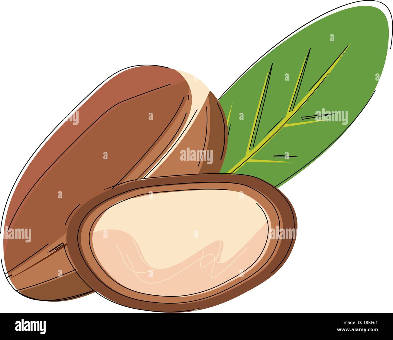 It is the kernel of argan tree, originally from Morocco, that is used ...
