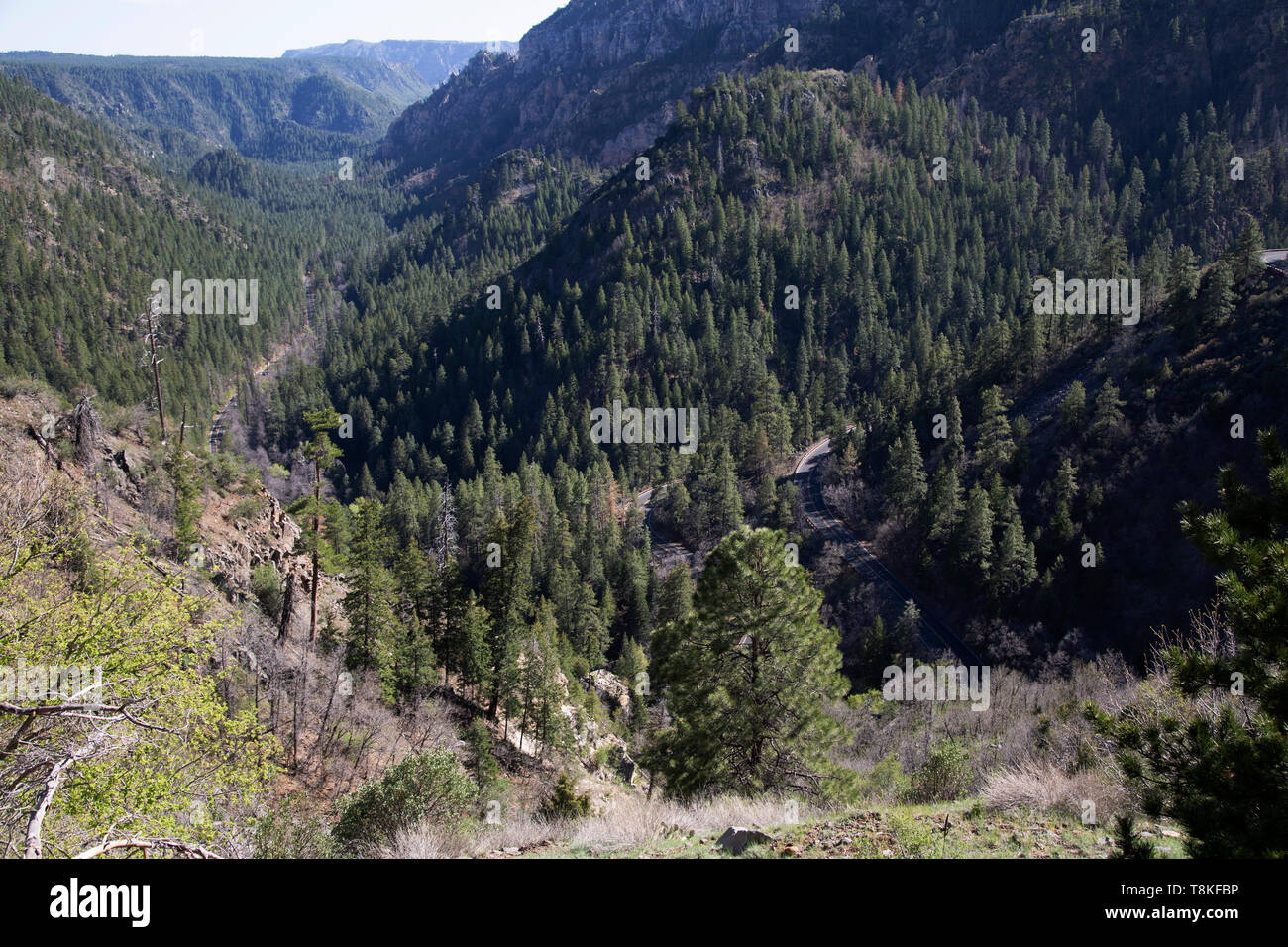 traveling through the mountains of flagstaff Stock Photo - Alamy