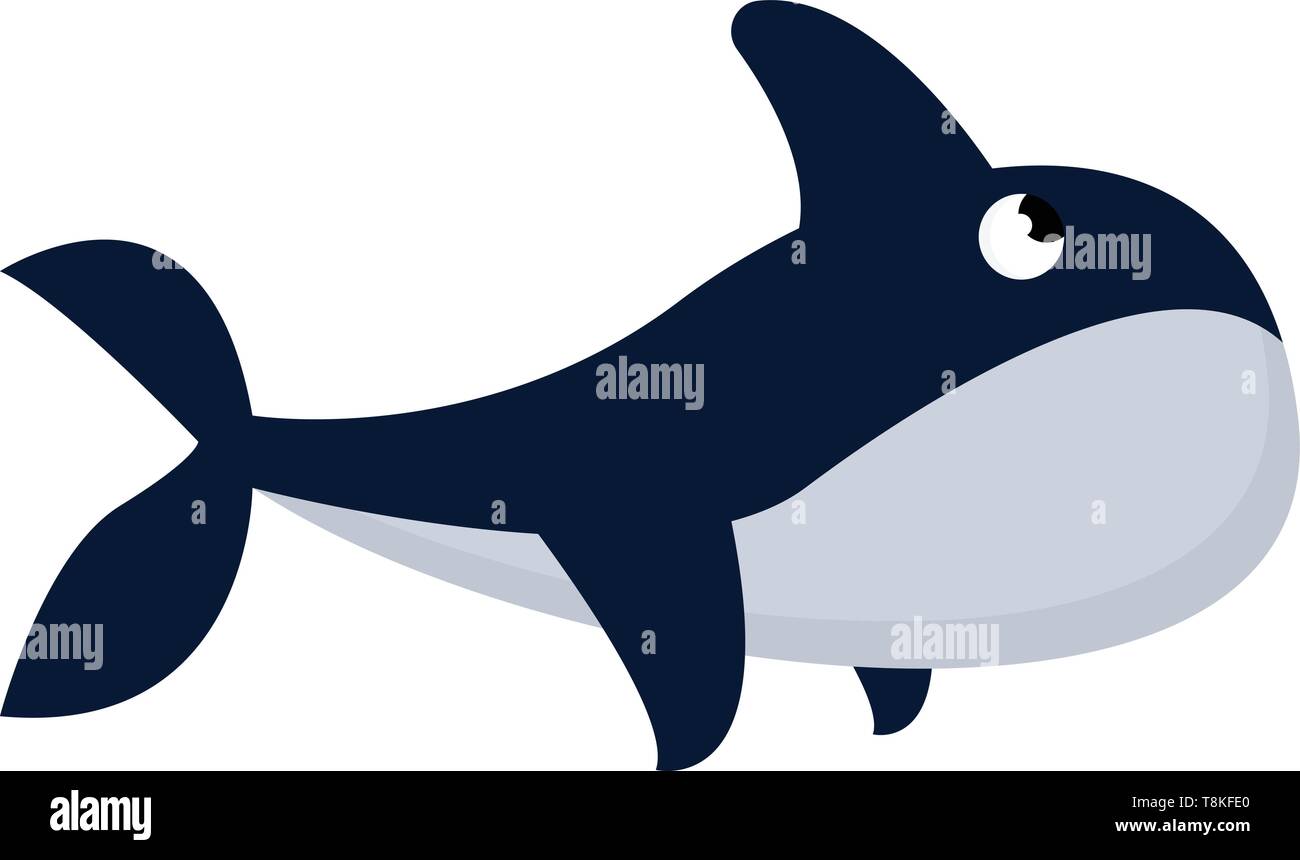 Whale is a very large mammal that lives in the sea that breathes air ...