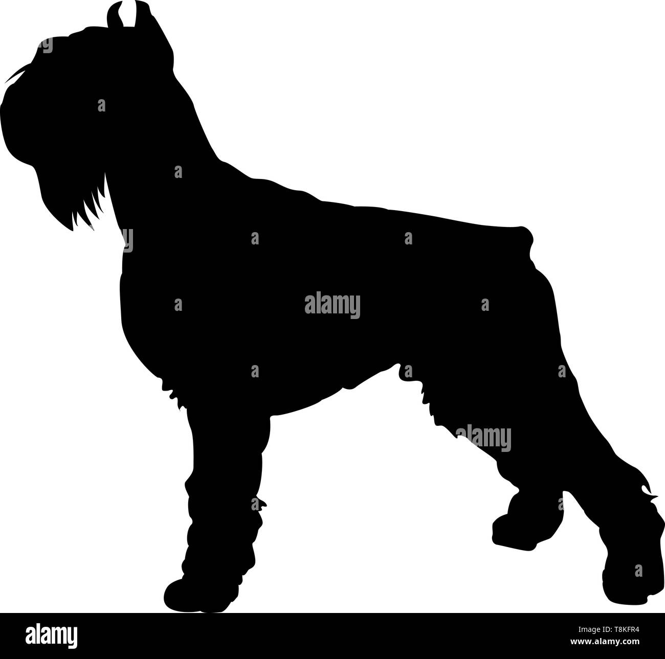 Shnauzer Dog Silhouette. Smooth Vector Illustration Stock Vector Image ...