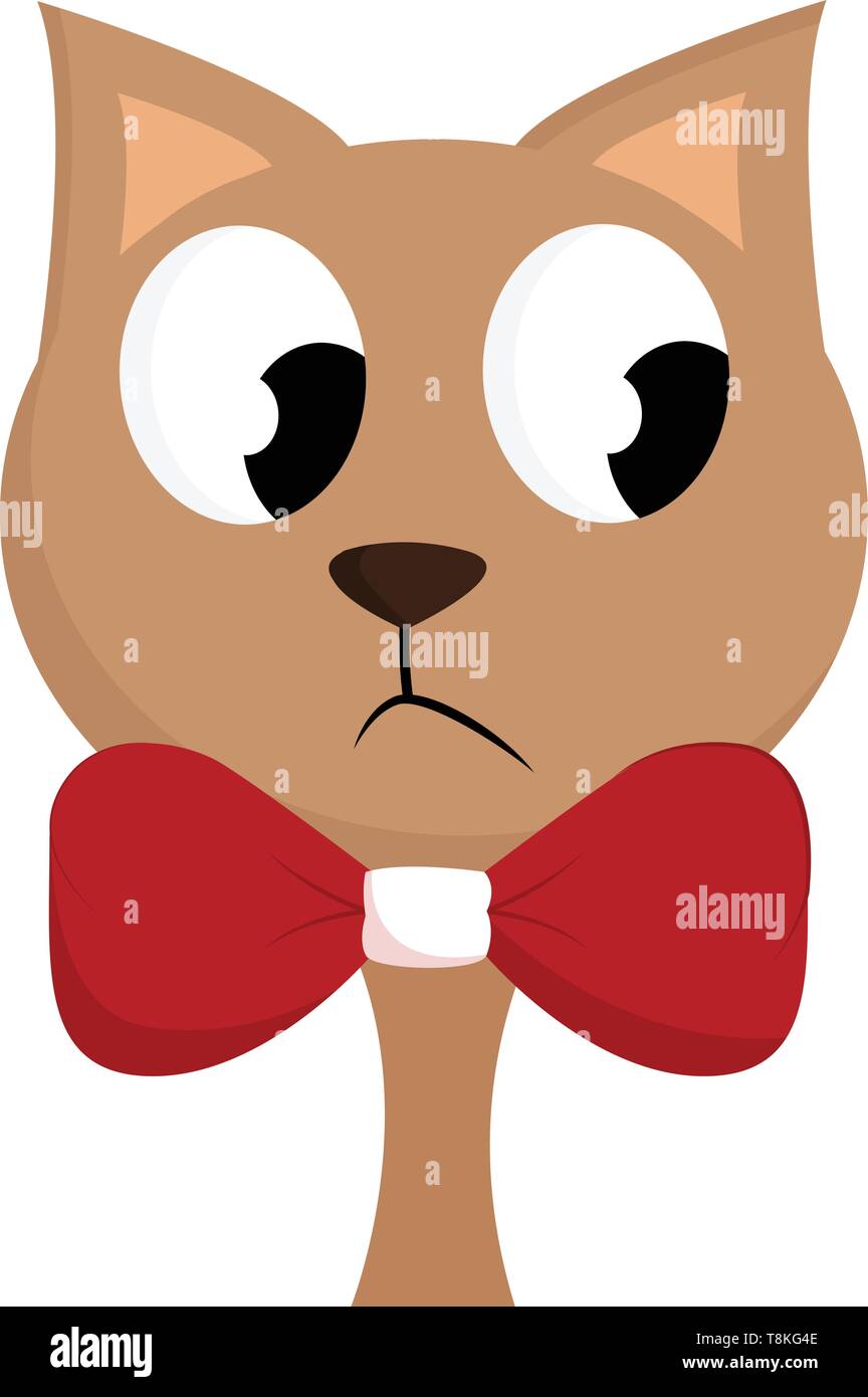 Cat is a mammal usually have thick soft fur, a long tail and sharp claw ...