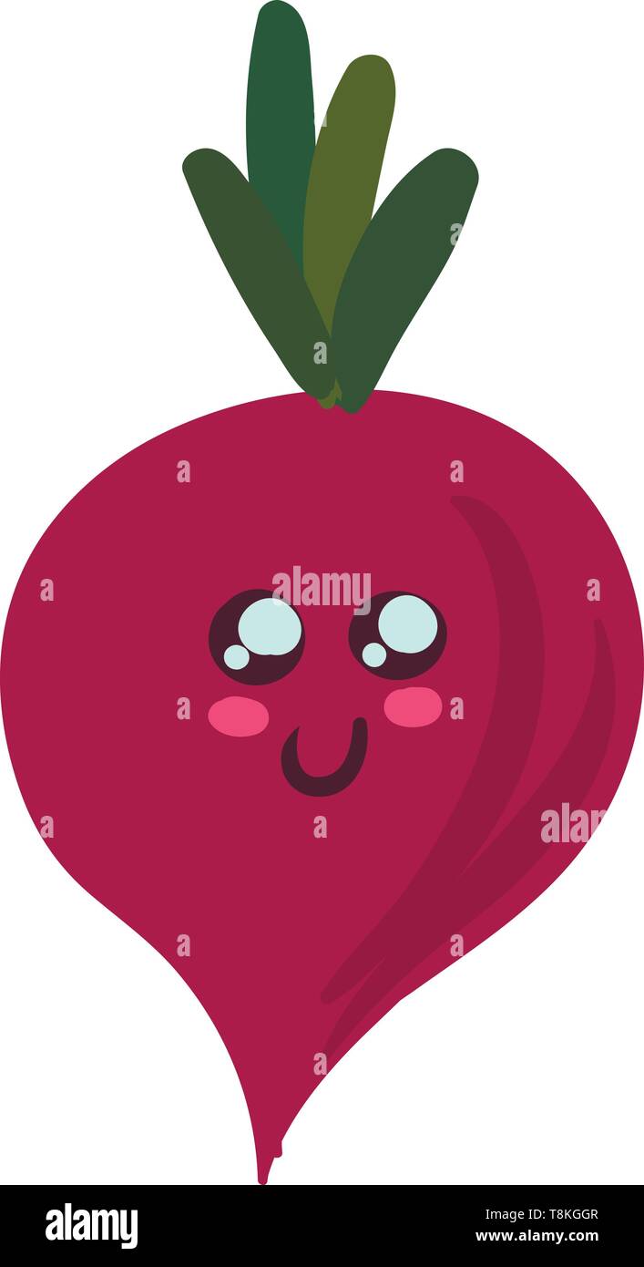 It is a biennial plant having a swollen edible root, widely cultivated ...