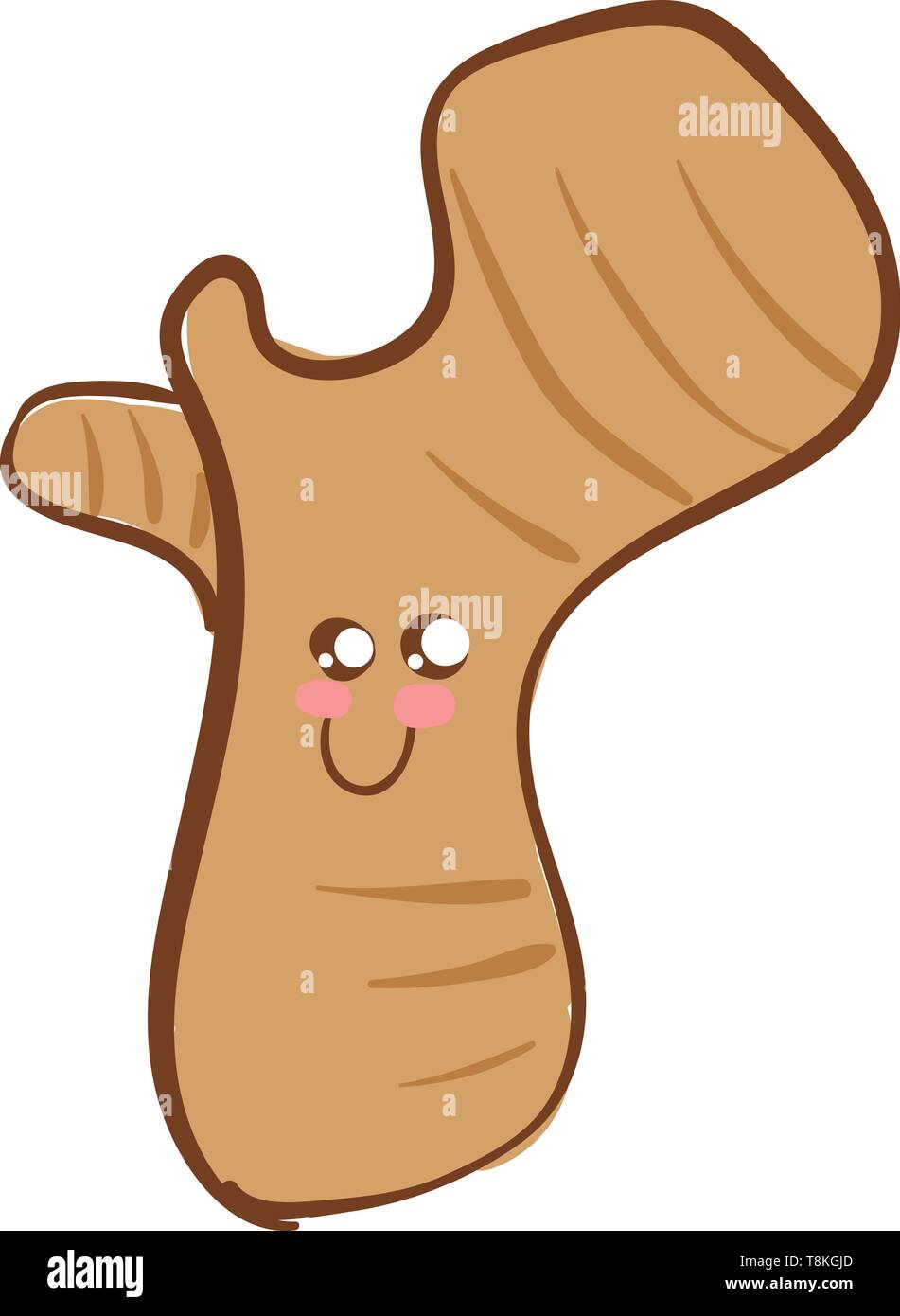 It is the root of tropical plant used as a spice., vector, color ...