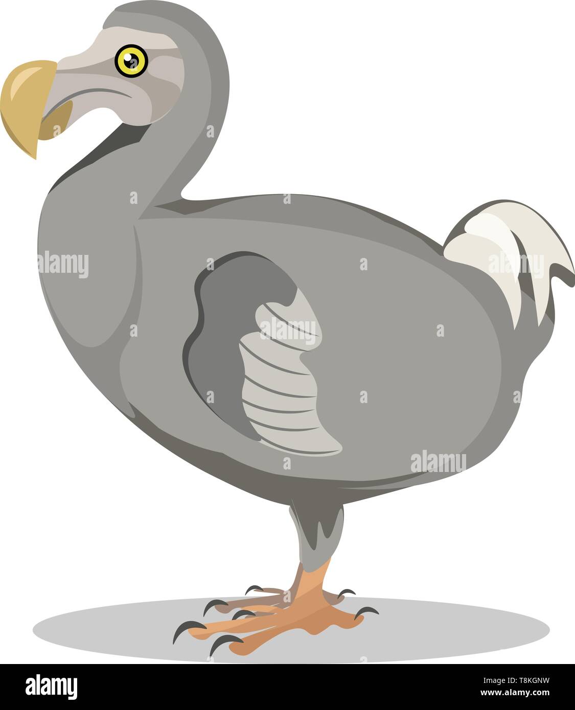 It is heavy flightless bird, that no longer exists., vector, color ...