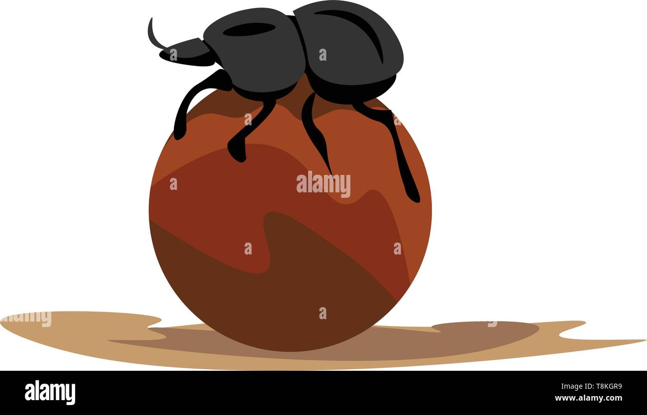 It is a type of beetle that feed in and breed on dung., vector, color ...