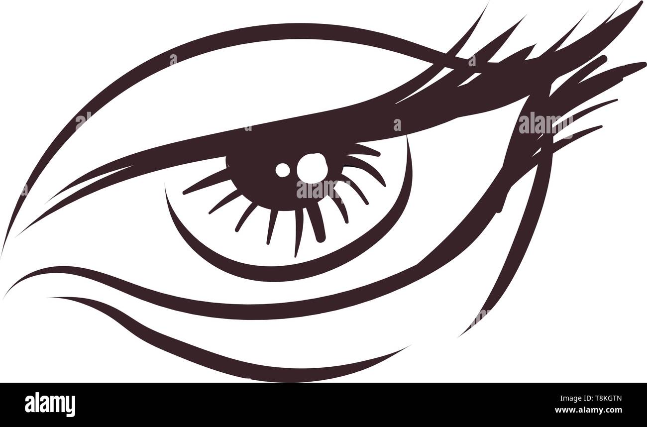 A beautiful black and white sketch of an eye, vector, color drawing or ...
