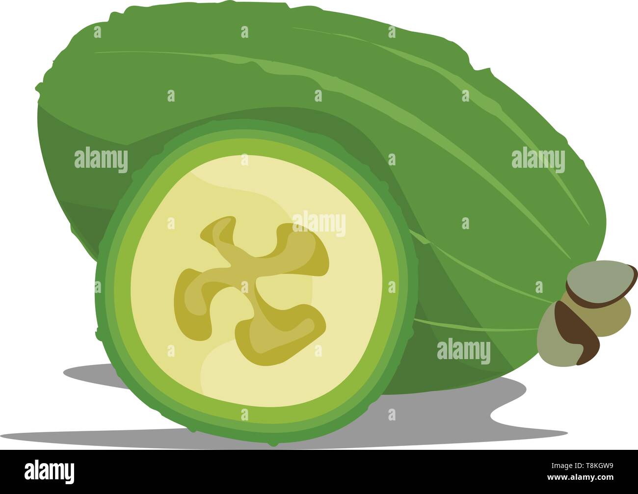 A colour illustration of a sliced feijoa, vector, color drawing or ...