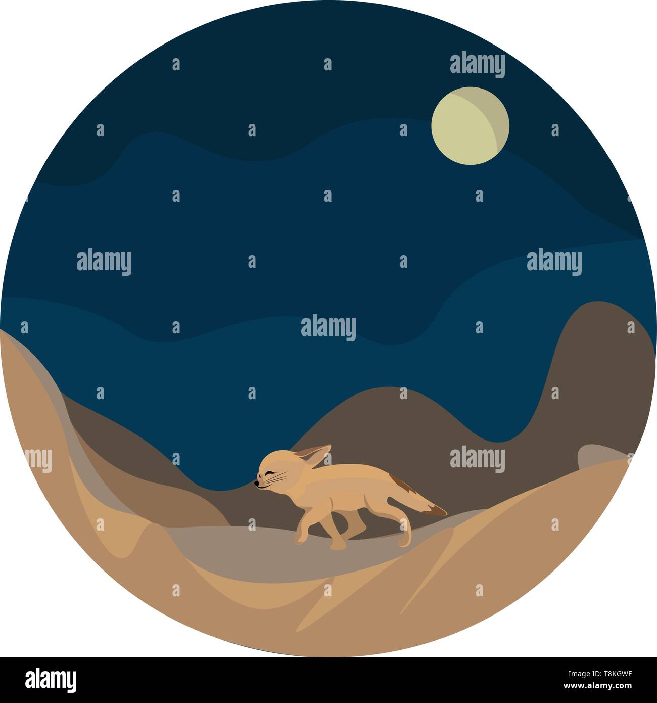 A colour illustration of a walking fox, vector, color drawing or ...