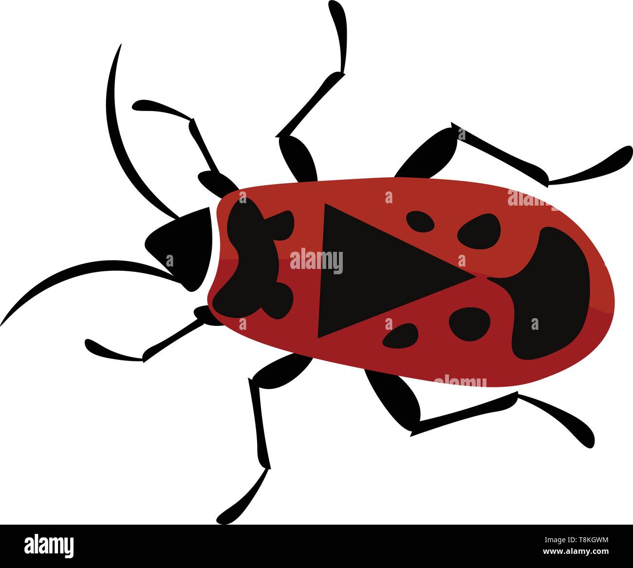 A colour illustration of a firebug, vector, color drawing or ...
