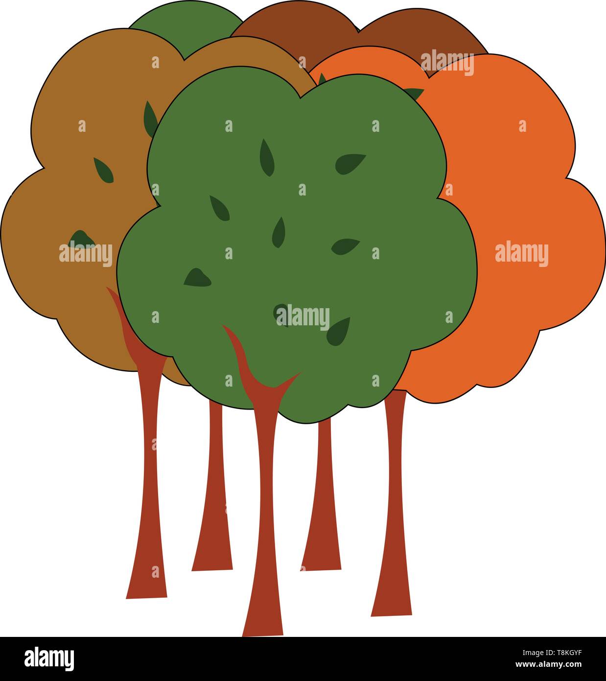 A colour illustration of a forest with many trees, vector, color ...