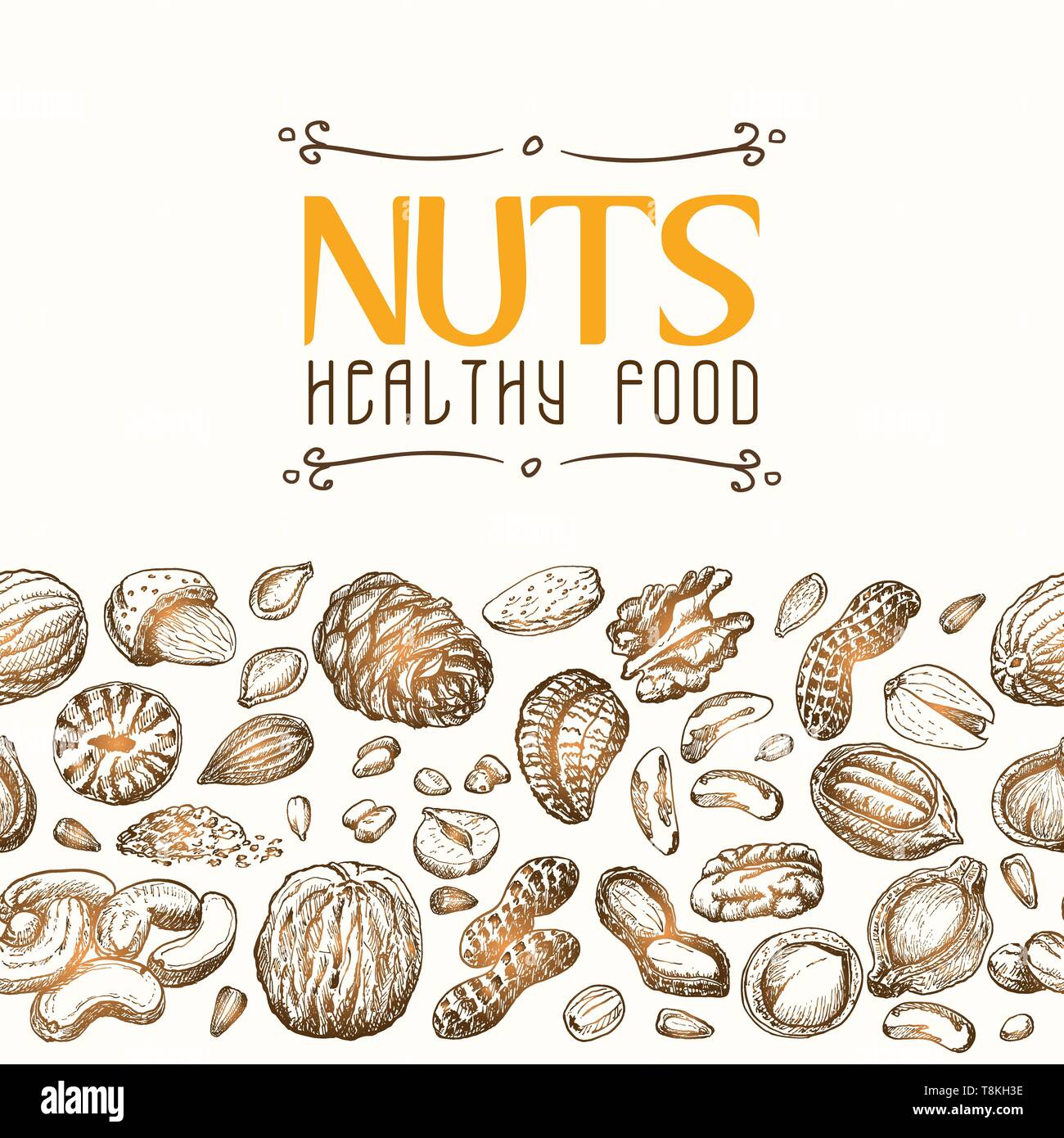 Vector background with nuts arranged horizontally. Vector illustration ...