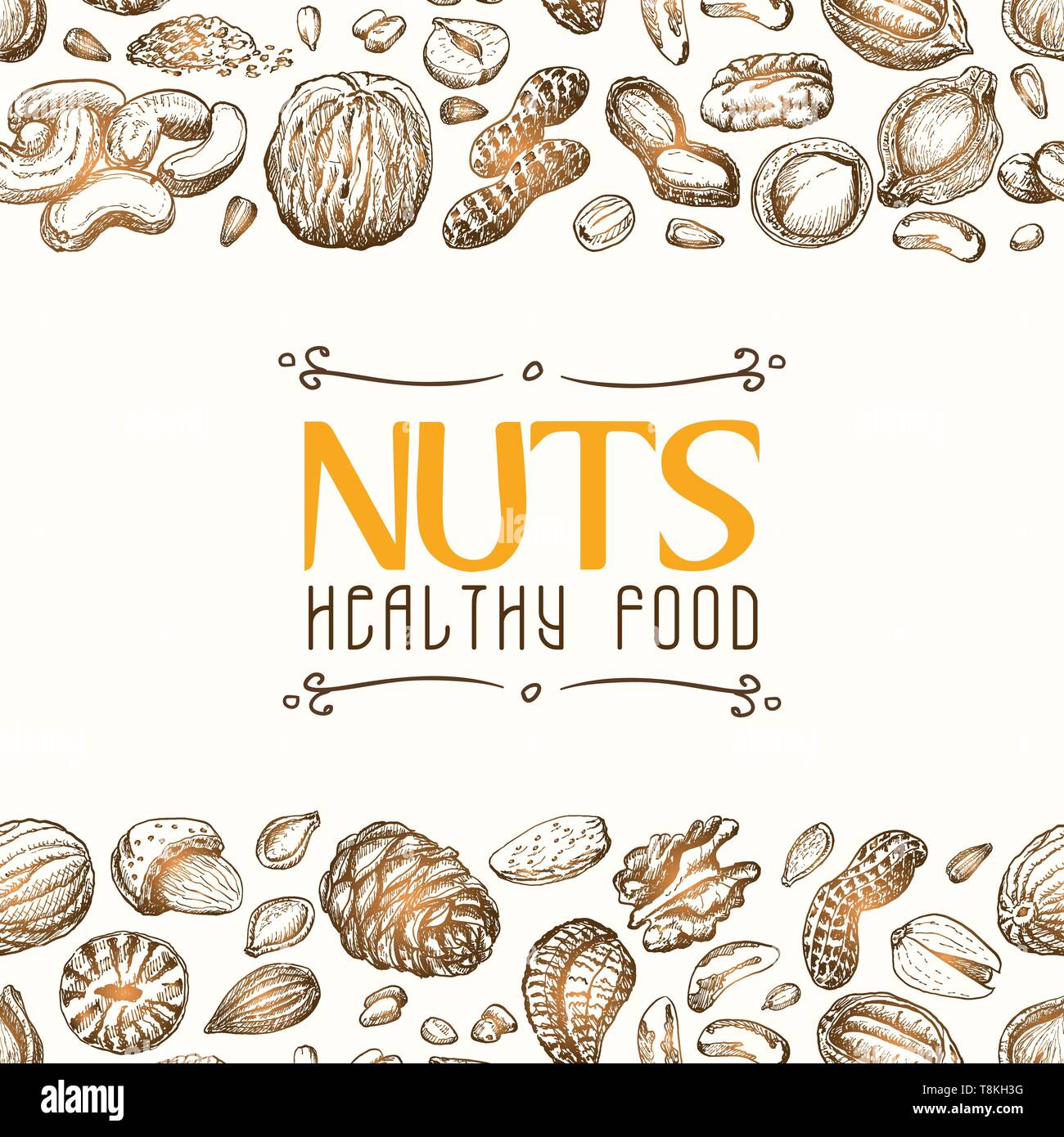 Vector background with nuts arranged horizontally. Vector illustration ...