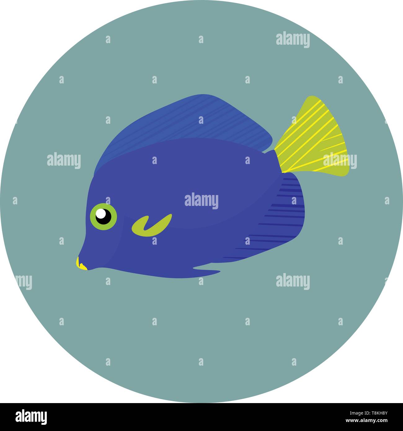 Soma vector vectors hi-res stock photography and images - Alamy