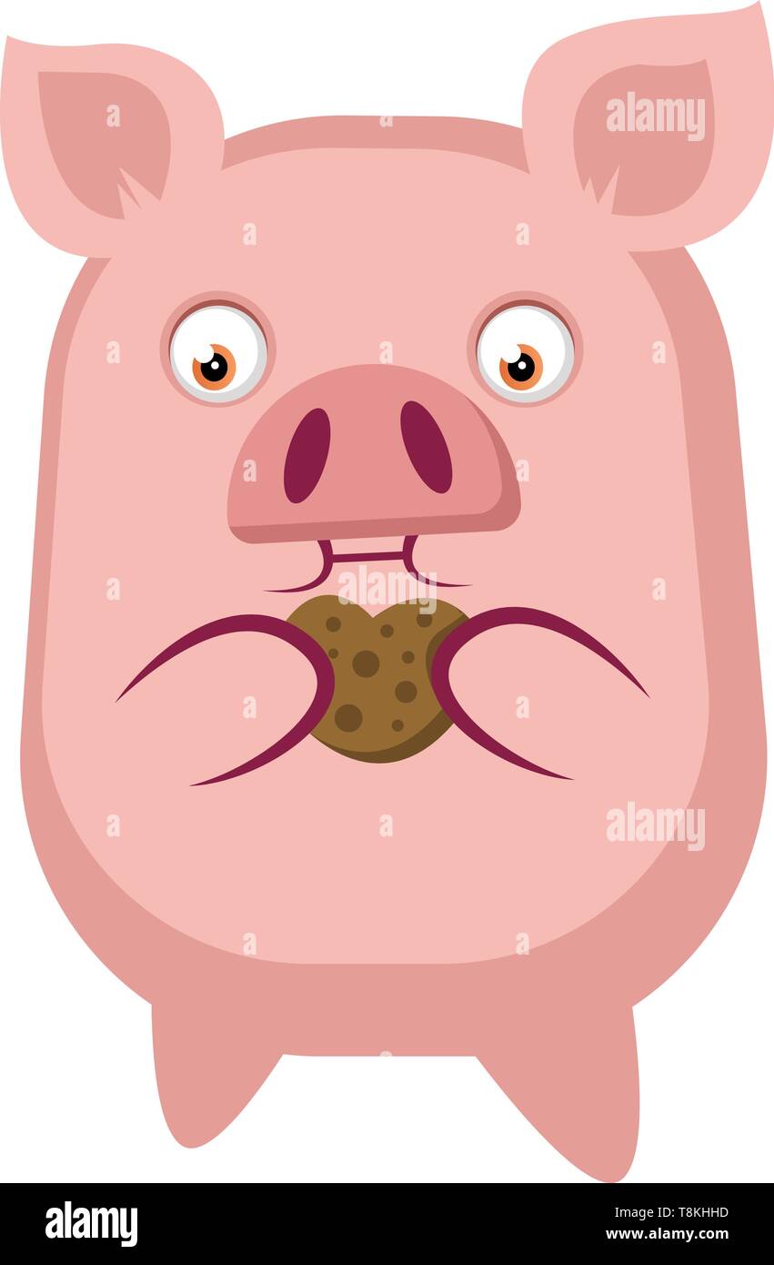 Piggy is eating a cookie, illustration, vector on white background ...