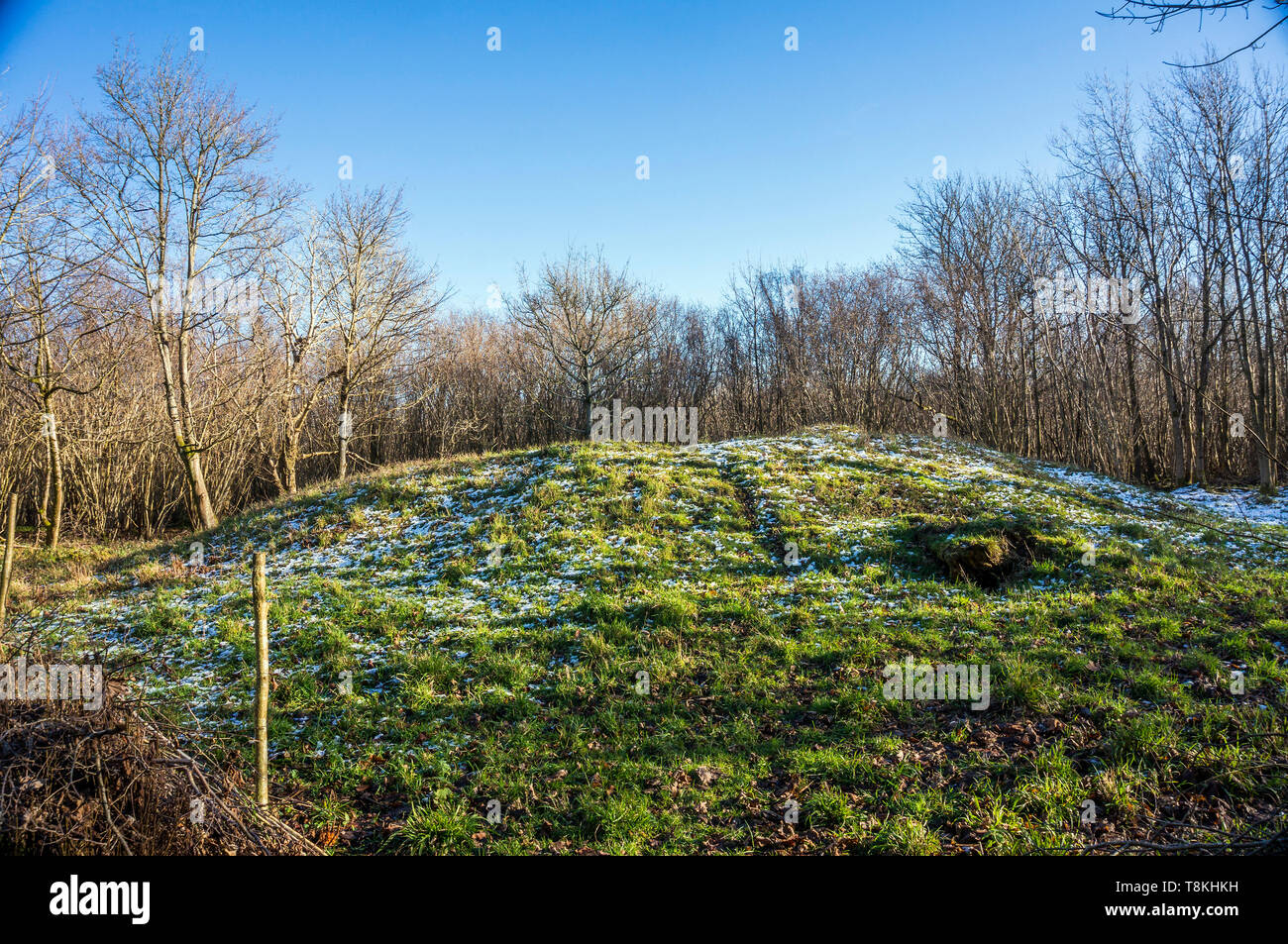 Bronze age wood hi-res stock photography and images - Alamy