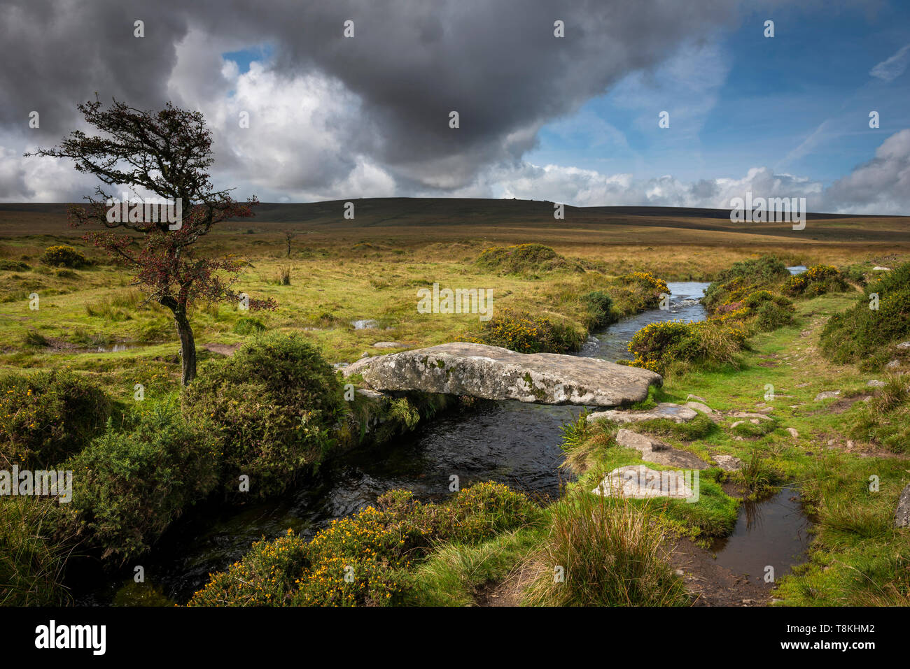 Stone 'clapper' bridge on Dartmoor, Devon, UK Stock Photo - Alamy
