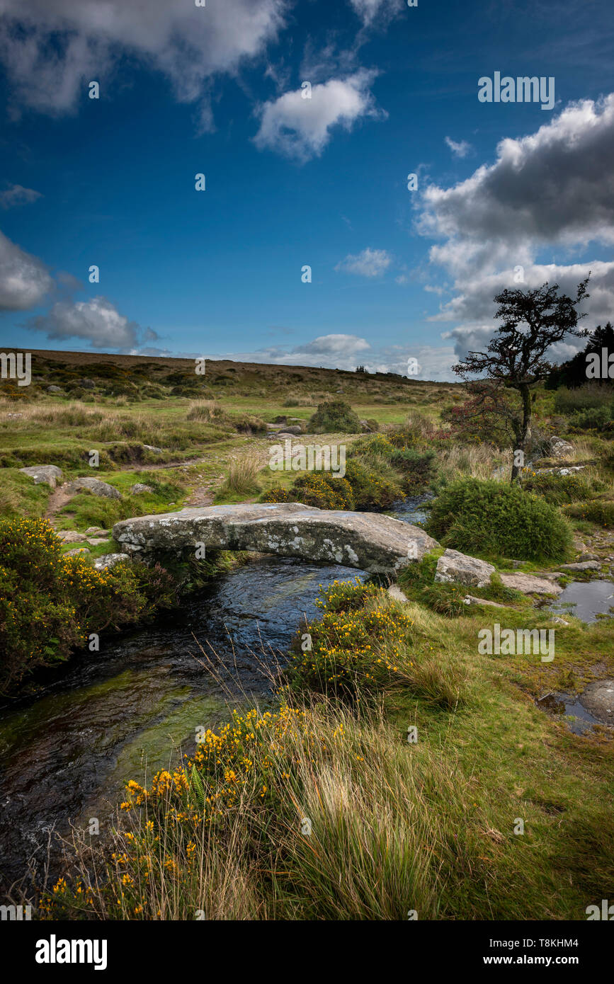 Stone 'clapper' bridge on Dartmoor, Devon, UK Stock Photo - Alamy