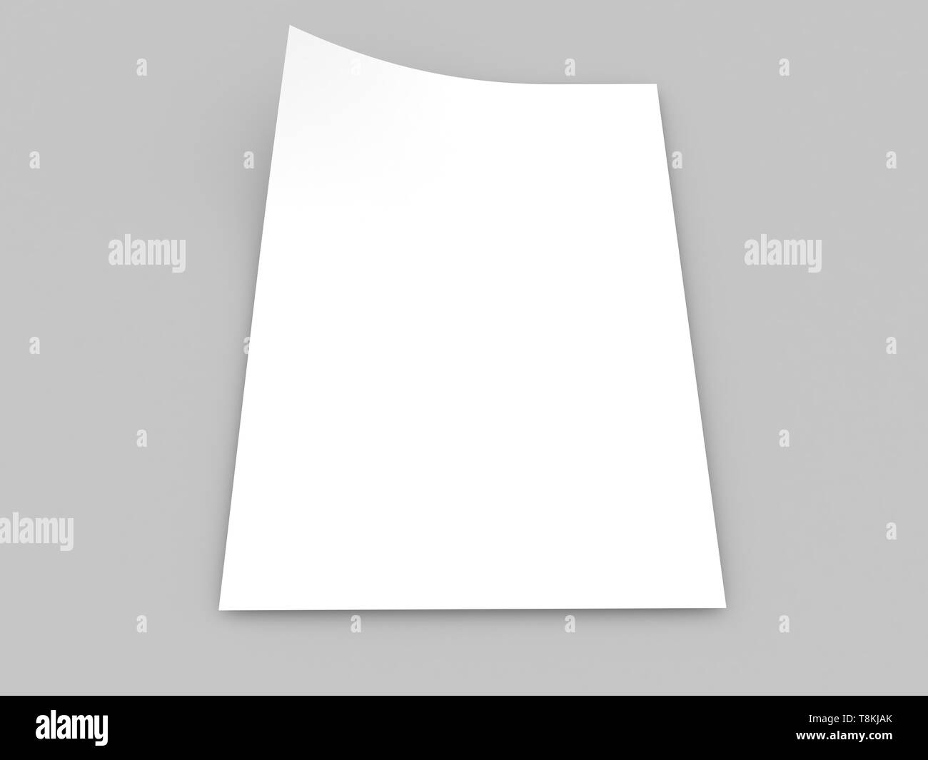 White realistic sheet of paper on a gray background. 3d render ...