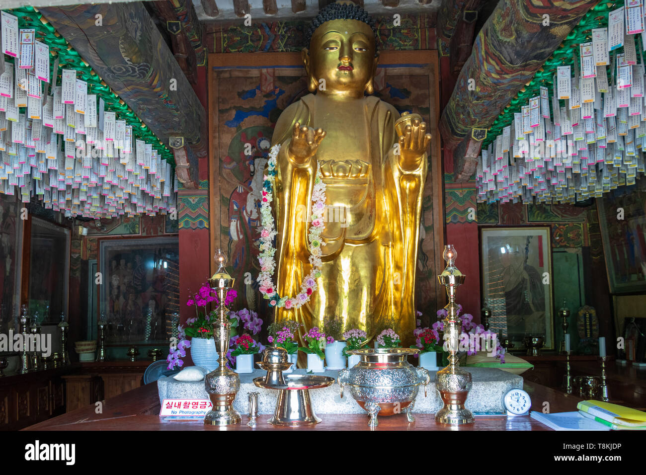 Panoramic view on the large golden praying sitting buddha. Korean ...