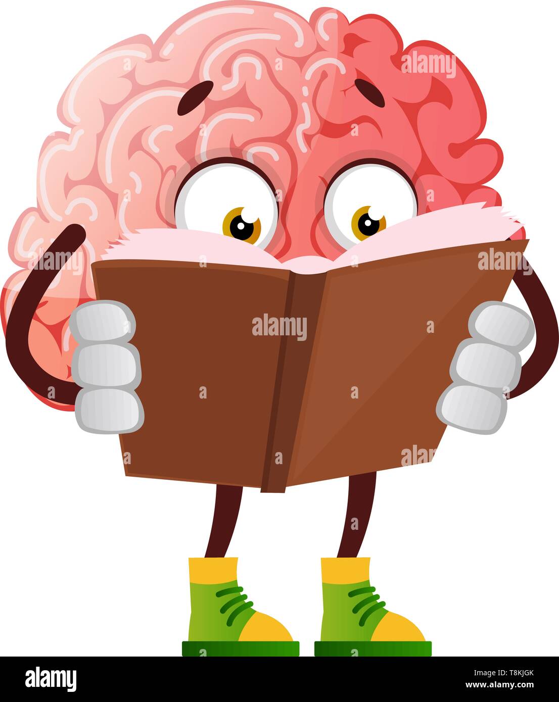 Brain is reading a book, illustration, vector on white background Stock ...