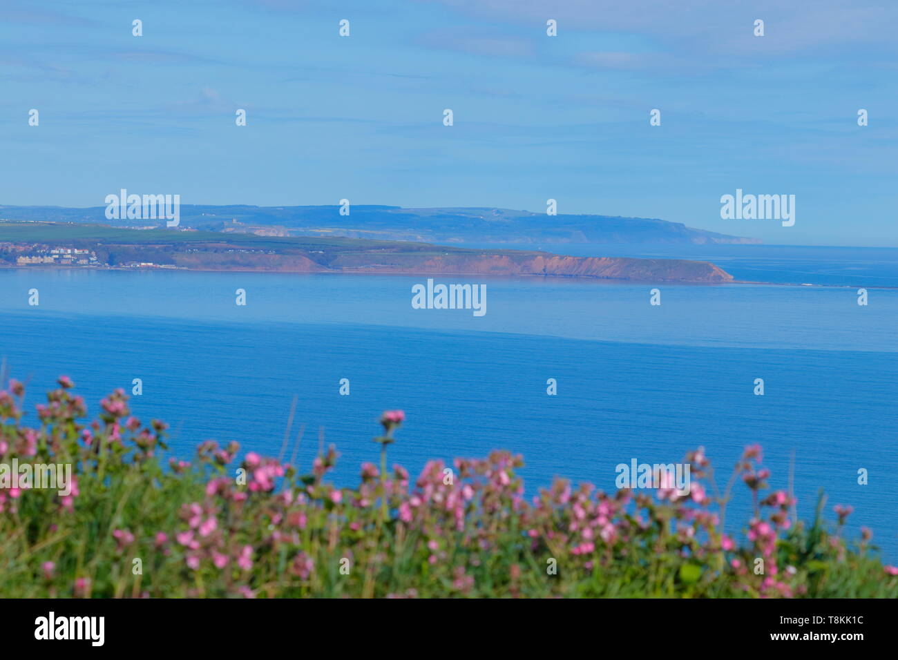 Filey from bempton hi-res stock photography and images - Alamy