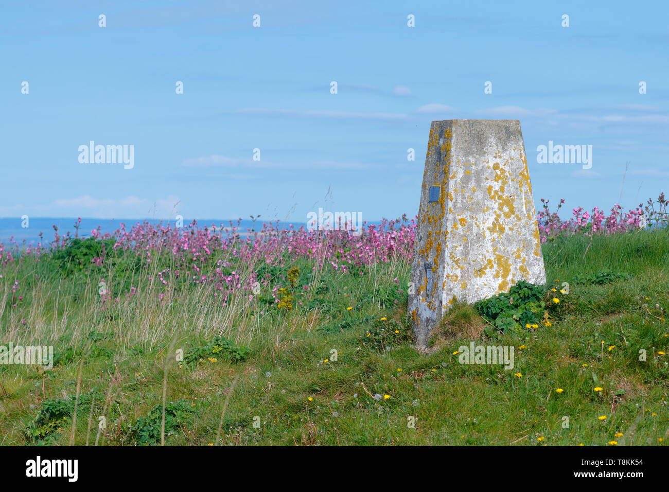 Ordnance Survey Trig Point at Bempton in North Yorkshire Stock Photo ...