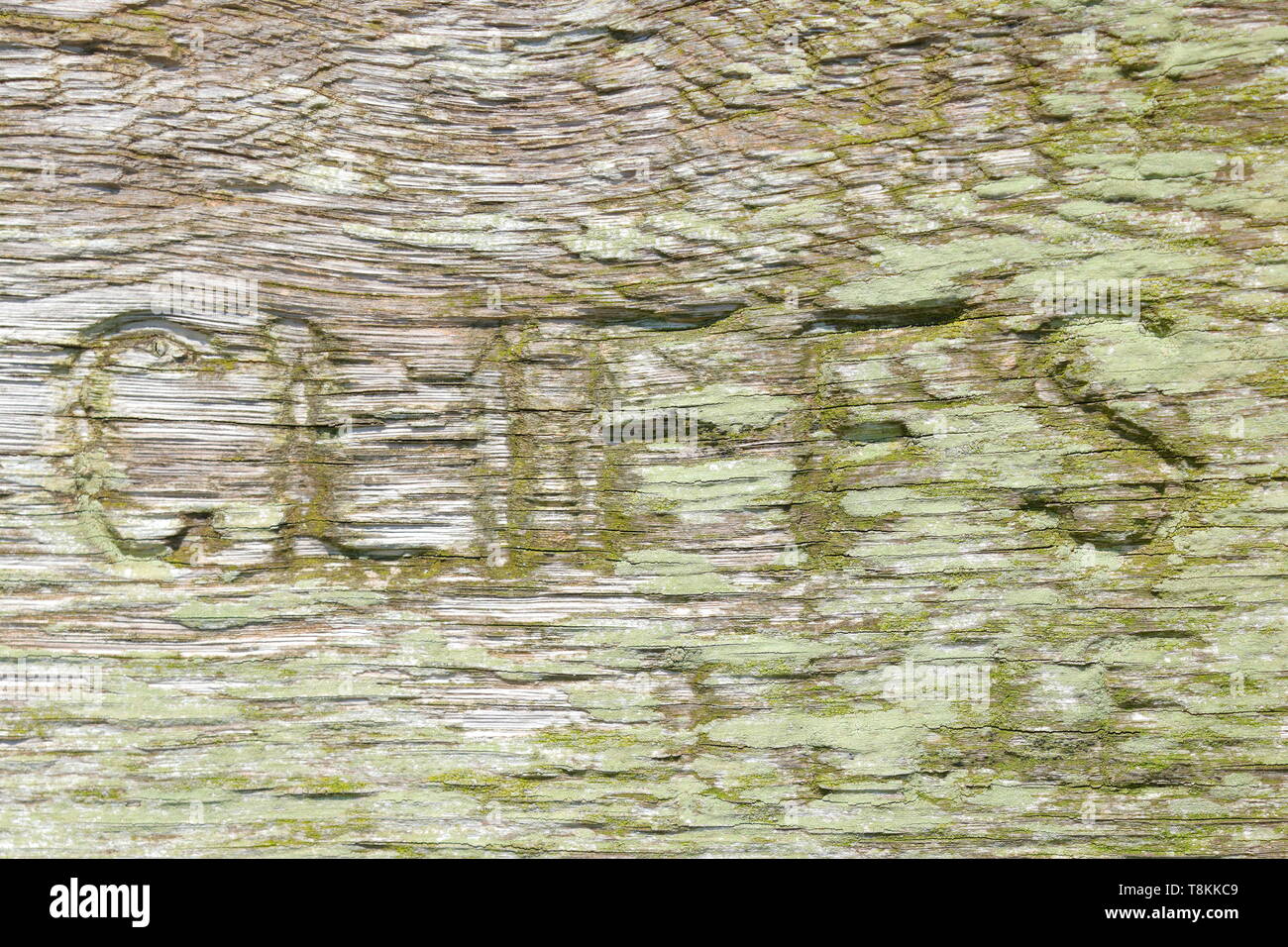 Reighton wood hi-res stock photography and images - Alamy