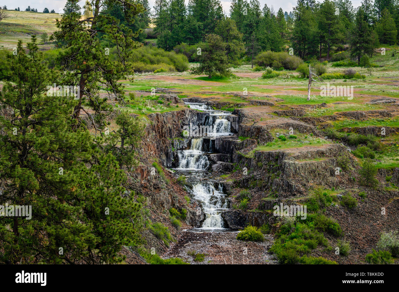 Hog Canyon Falls Stock Photo - Alamy