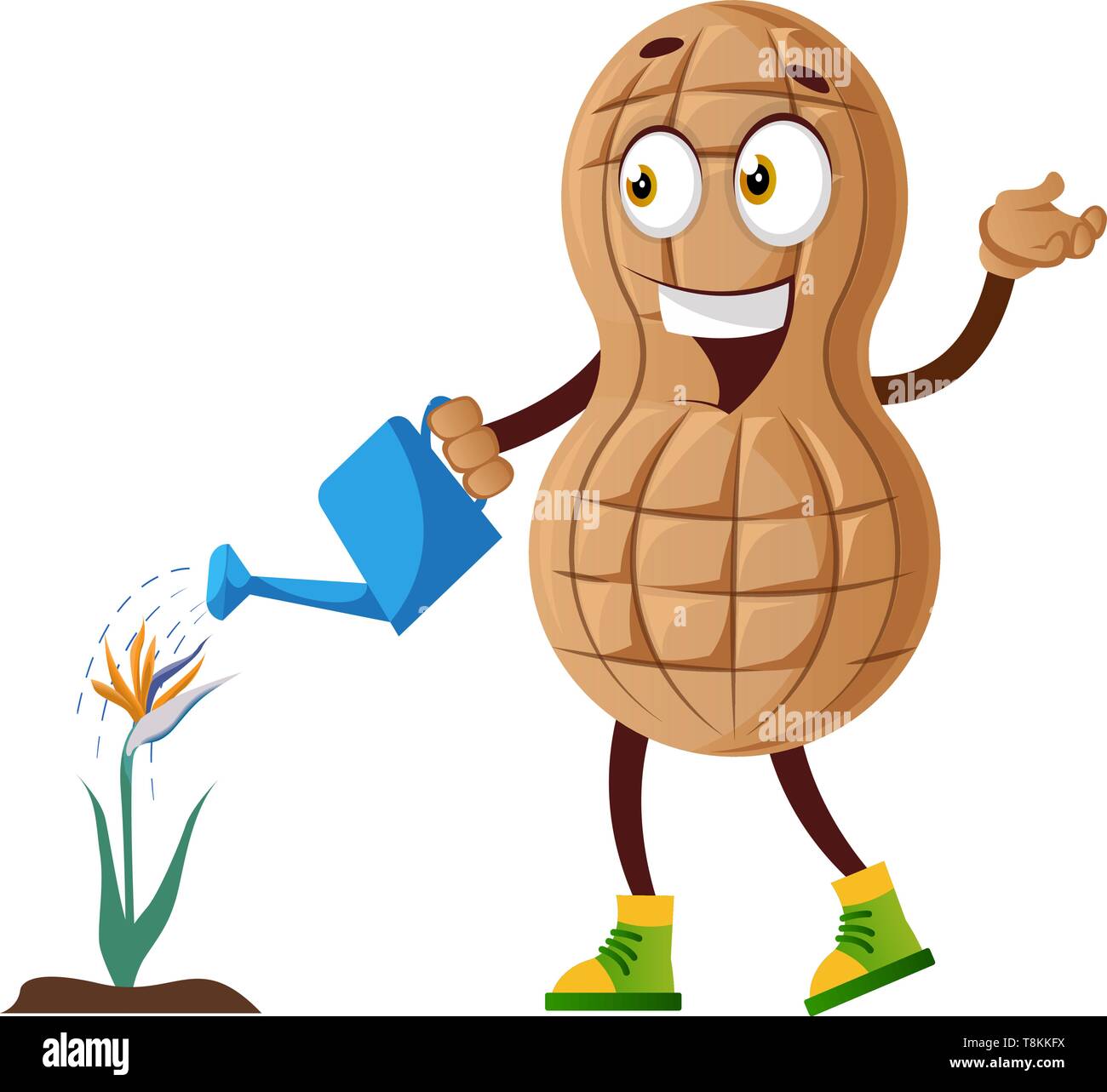 Peanut watering flowers, illustration, vector on white background Stock ...