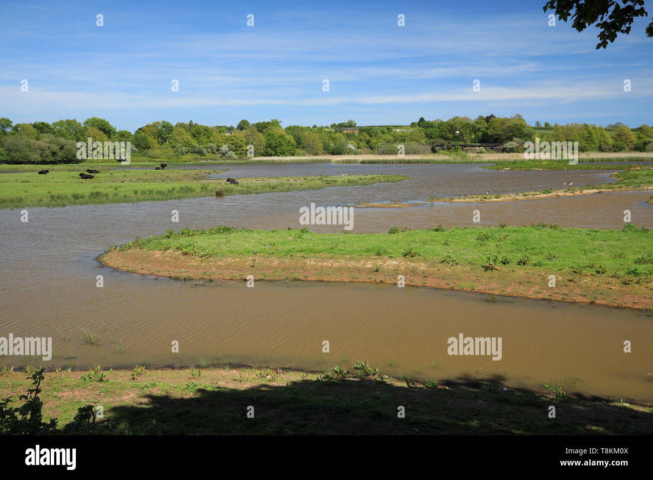 Topsham exeter hi-res stock photography and images - Alamy