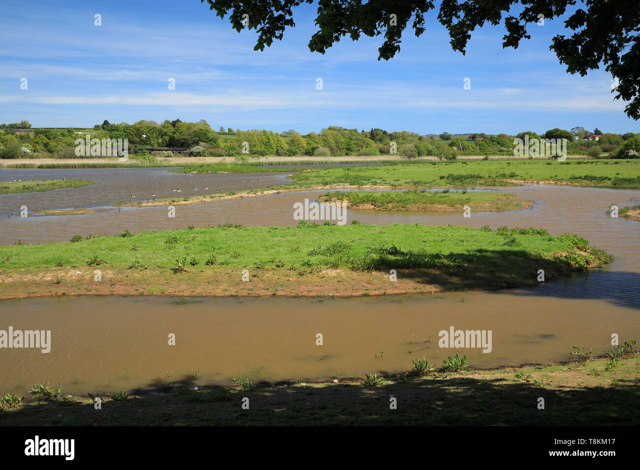 Topsham exeter hi-res stock photography and images - Alamy