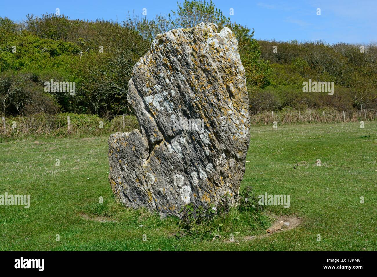 Harold stone hi-res stock photography and images - Alamy