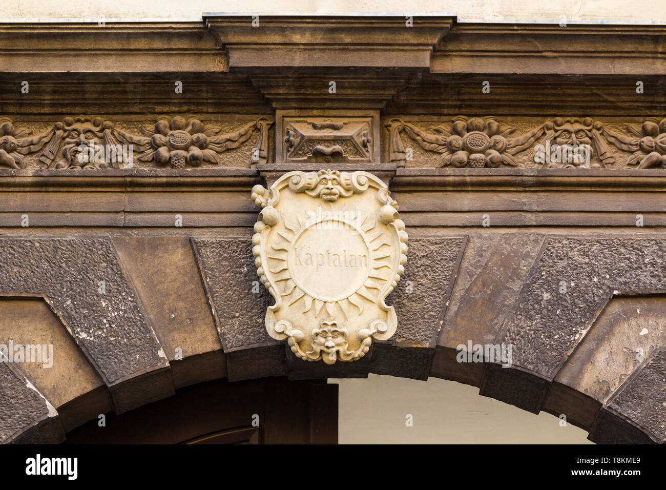 Capitulum hi-res stock photography and images - Alamy