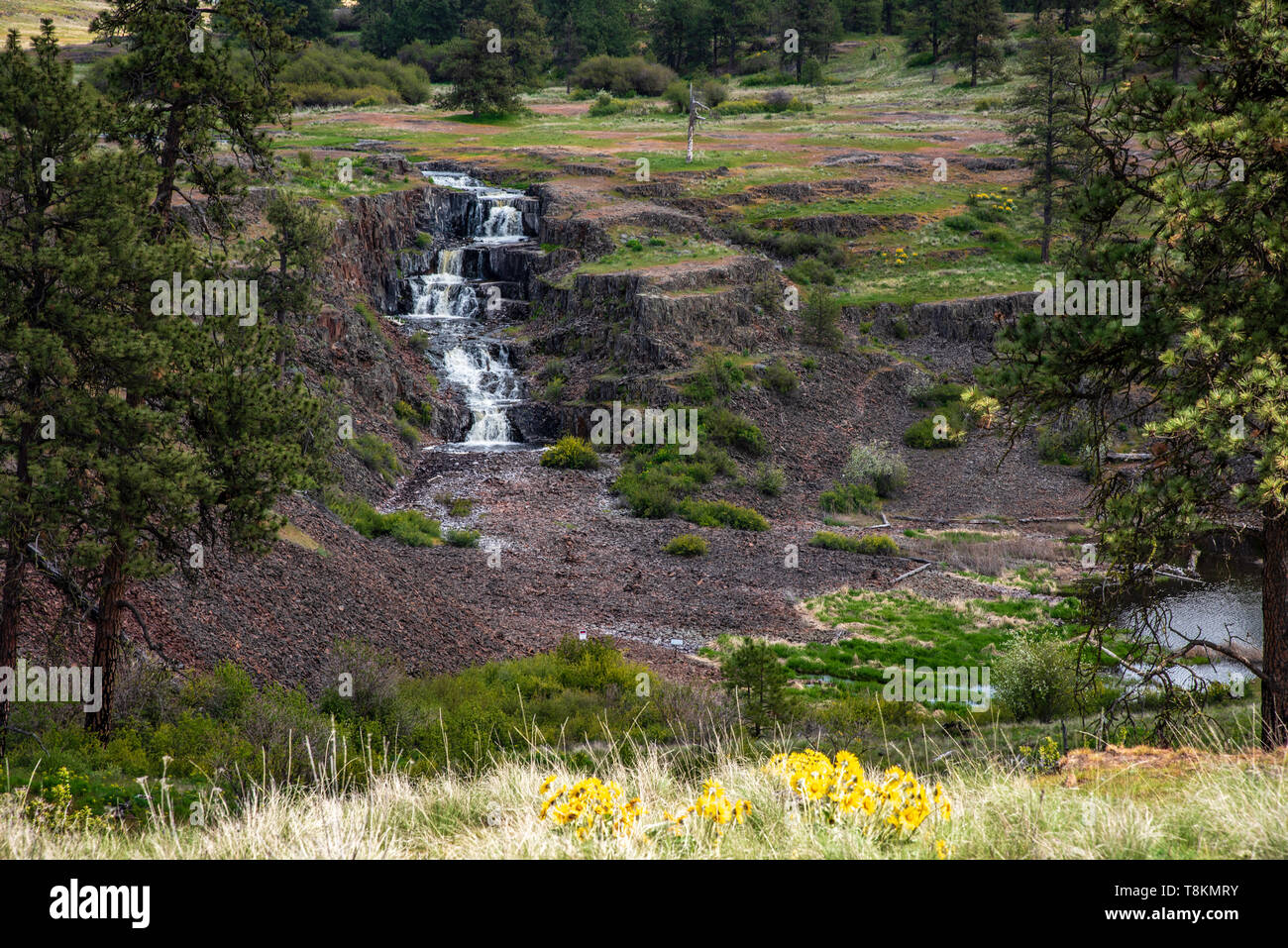 Hog Canyon Falls Stock Photo - Alamy
