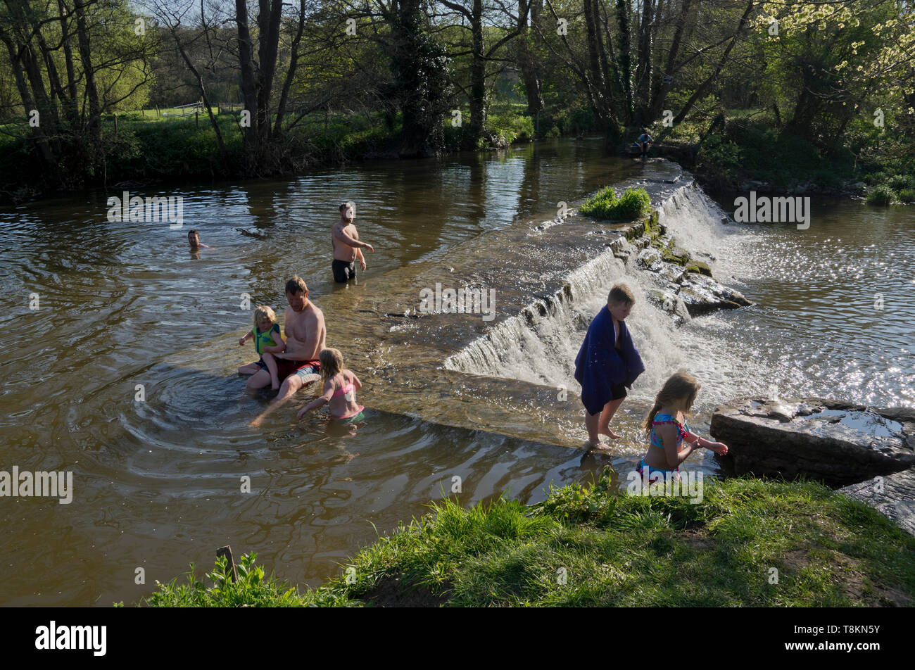 People swimming on river Frome at Stowford Farm near Bradford on Avon ...