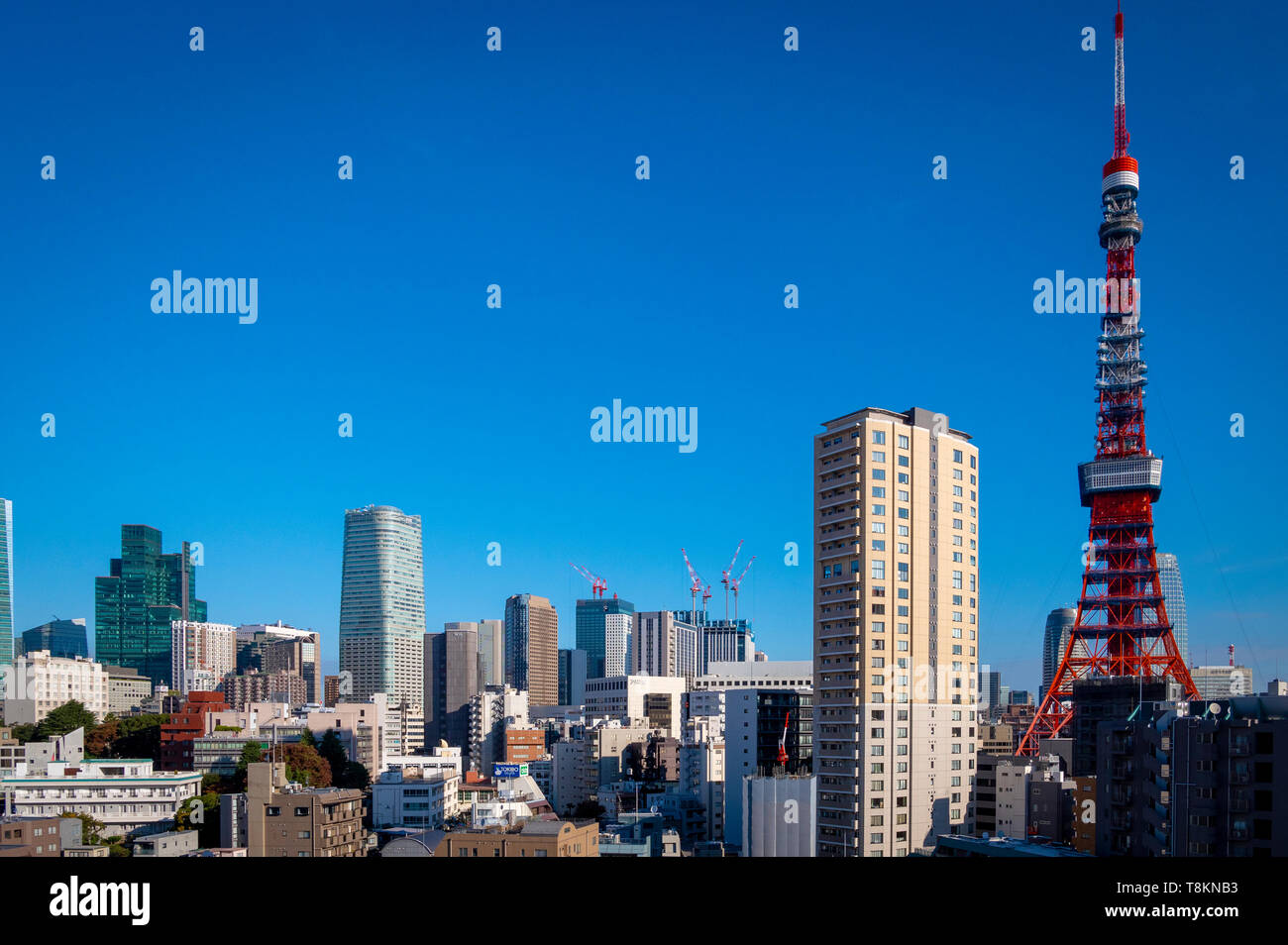 Tokyo tower landmark hi-res stock photography and images - Alamy