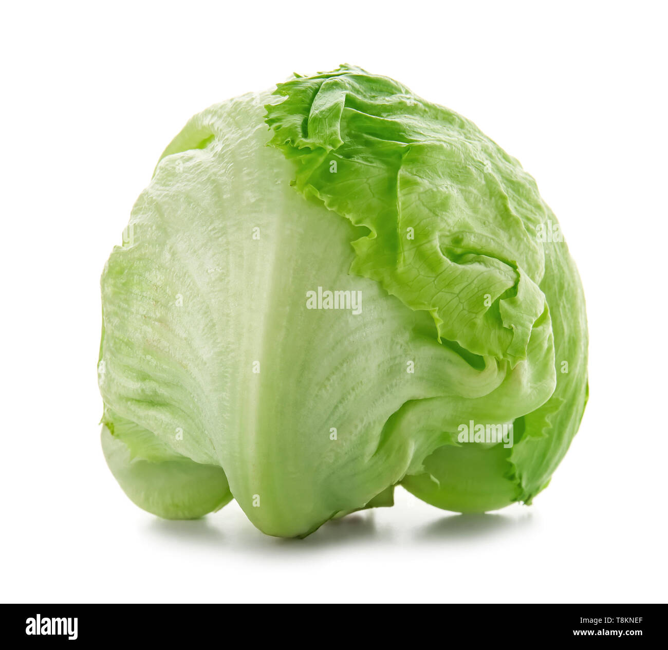 Fresh ripe cabbage on white background Stock Photo - Alamy