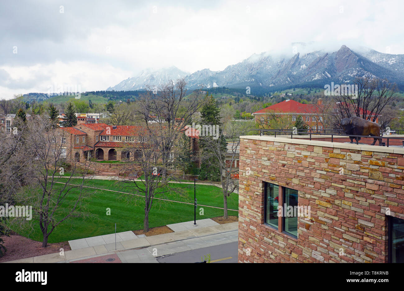 Cu campus hi-res stock photography and images - Alamy