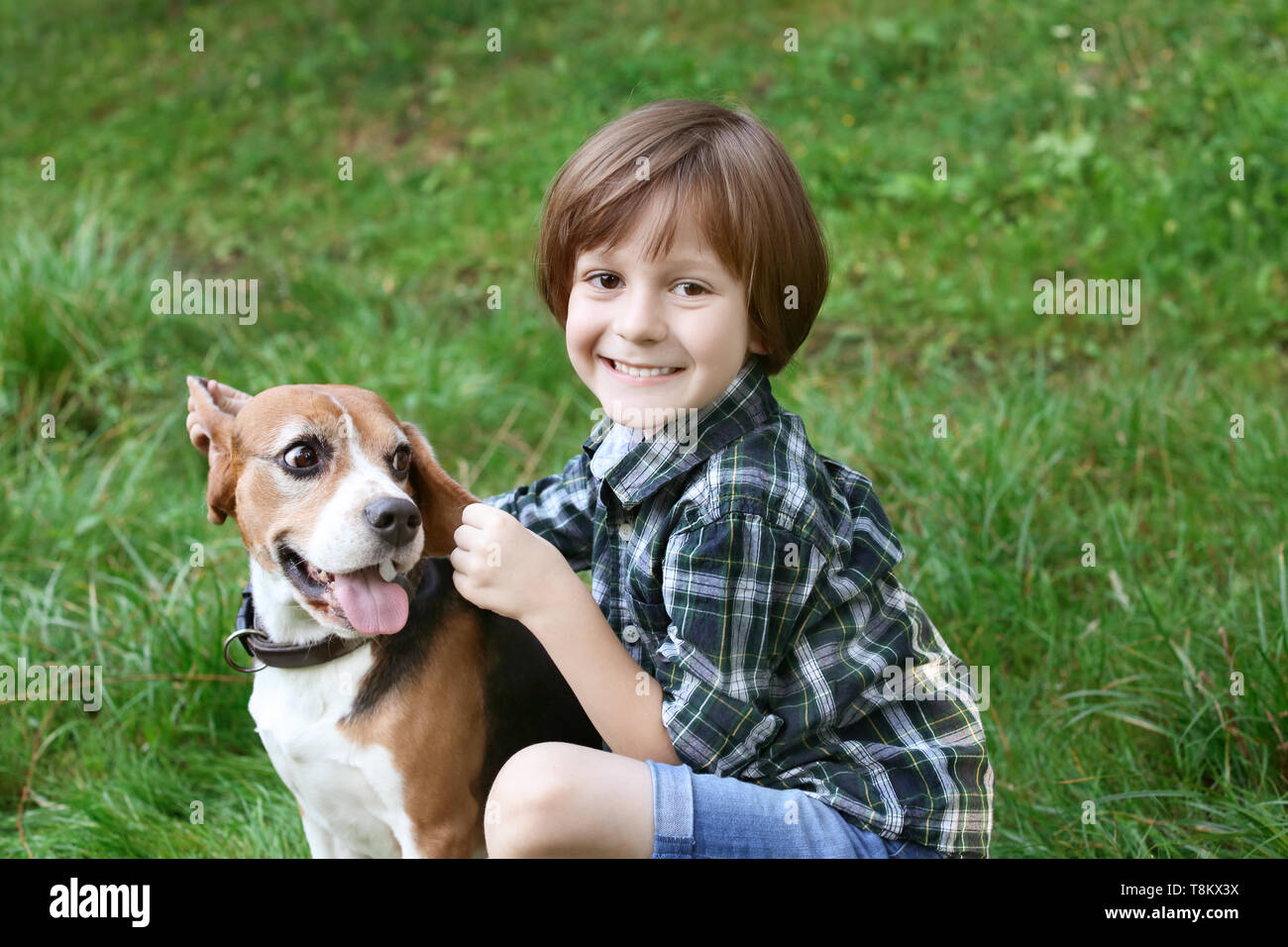 Cute little boy with dog resting in green park Stock Photo - Alamy
