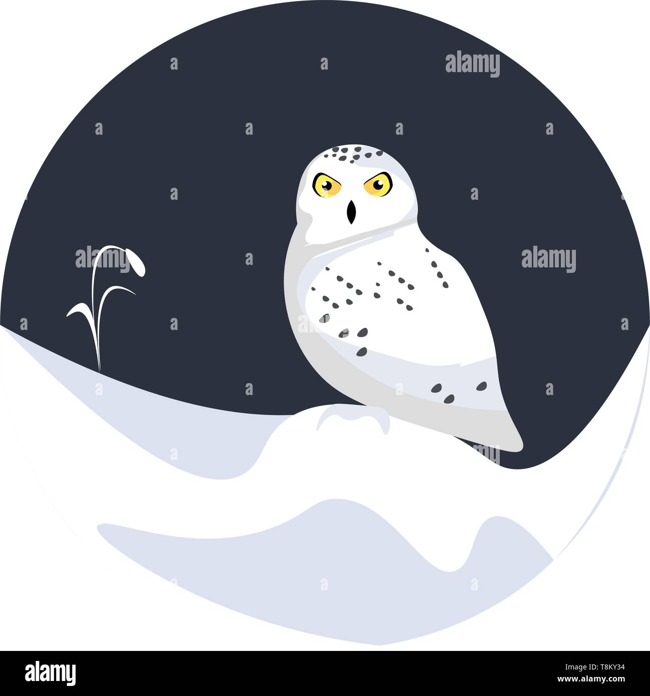 A white colored owl with yellow eyes and a black beak, vector, color ...