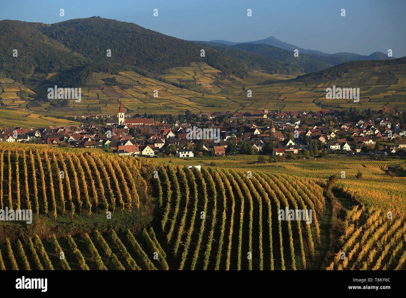 Economic resources hi-res stock photography and images - Alamy