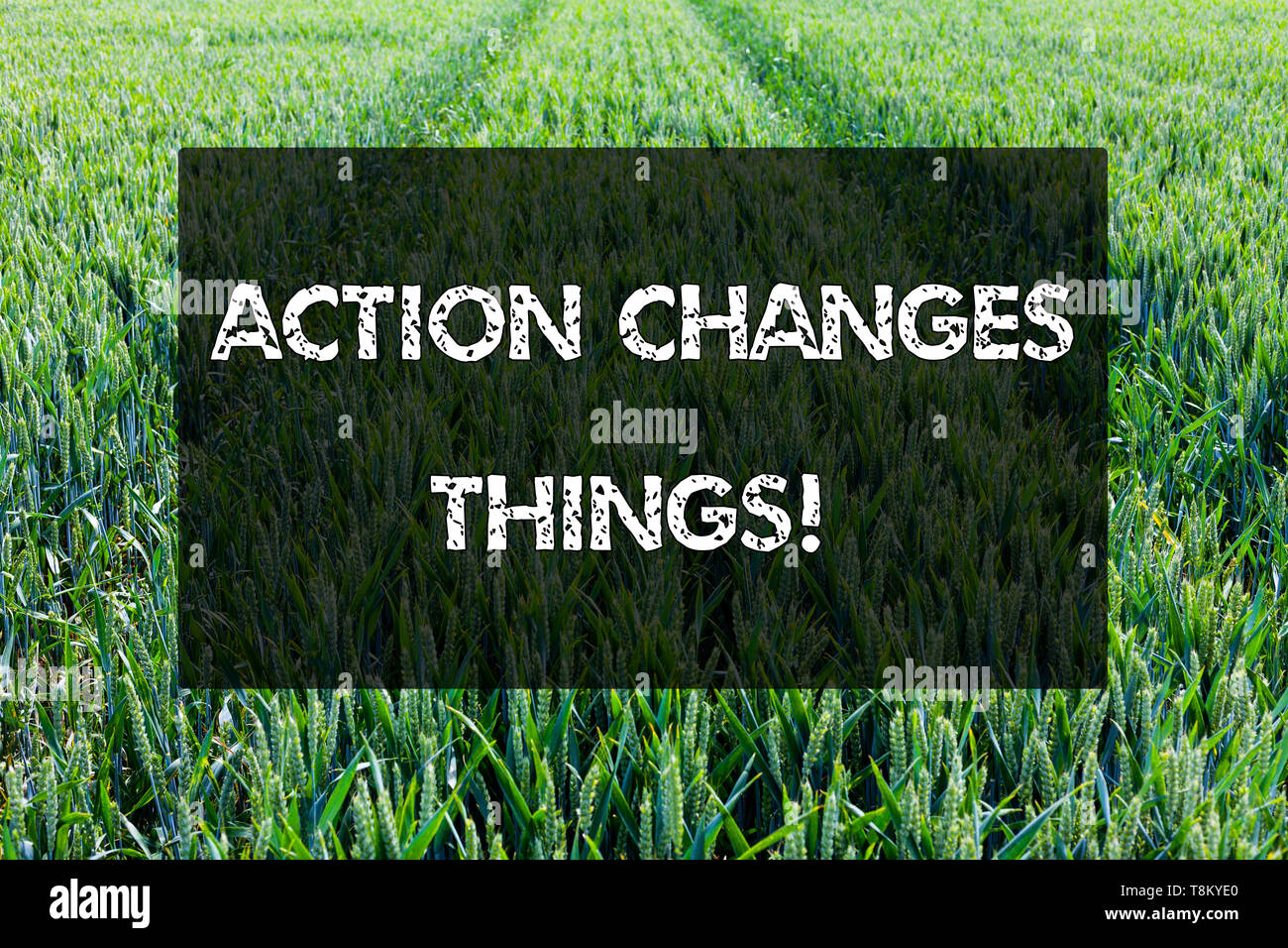 Word writing text Action Changes Things. Business photo showcasing ...