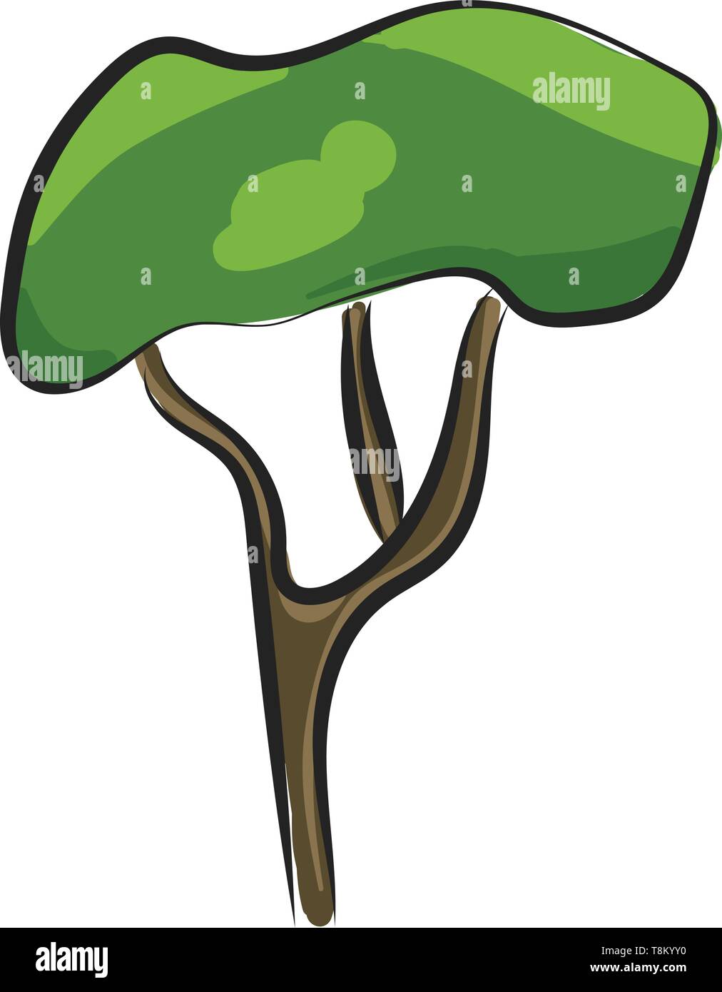 A thin green tree with brown trunk and three big stems, vector, color ...
