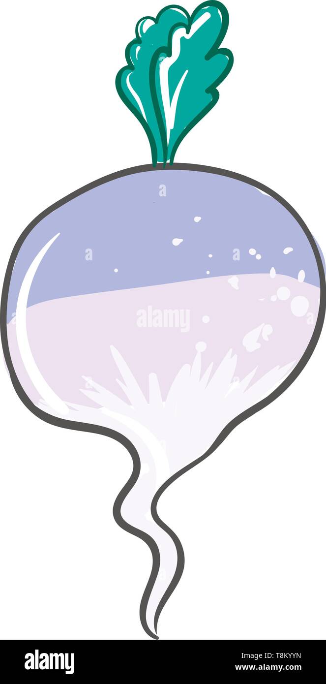 White and blue colored turnip with green leaves and Angry face, vector ...