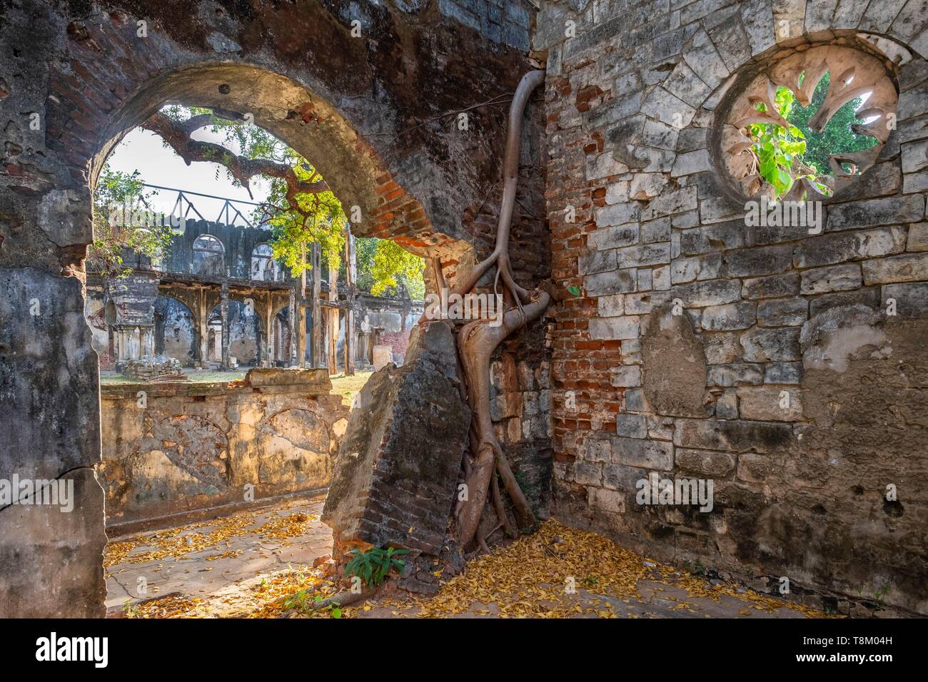 Sri Lanka, Northern province, Jaffna, Old park, ruins of Old Kachchery ...