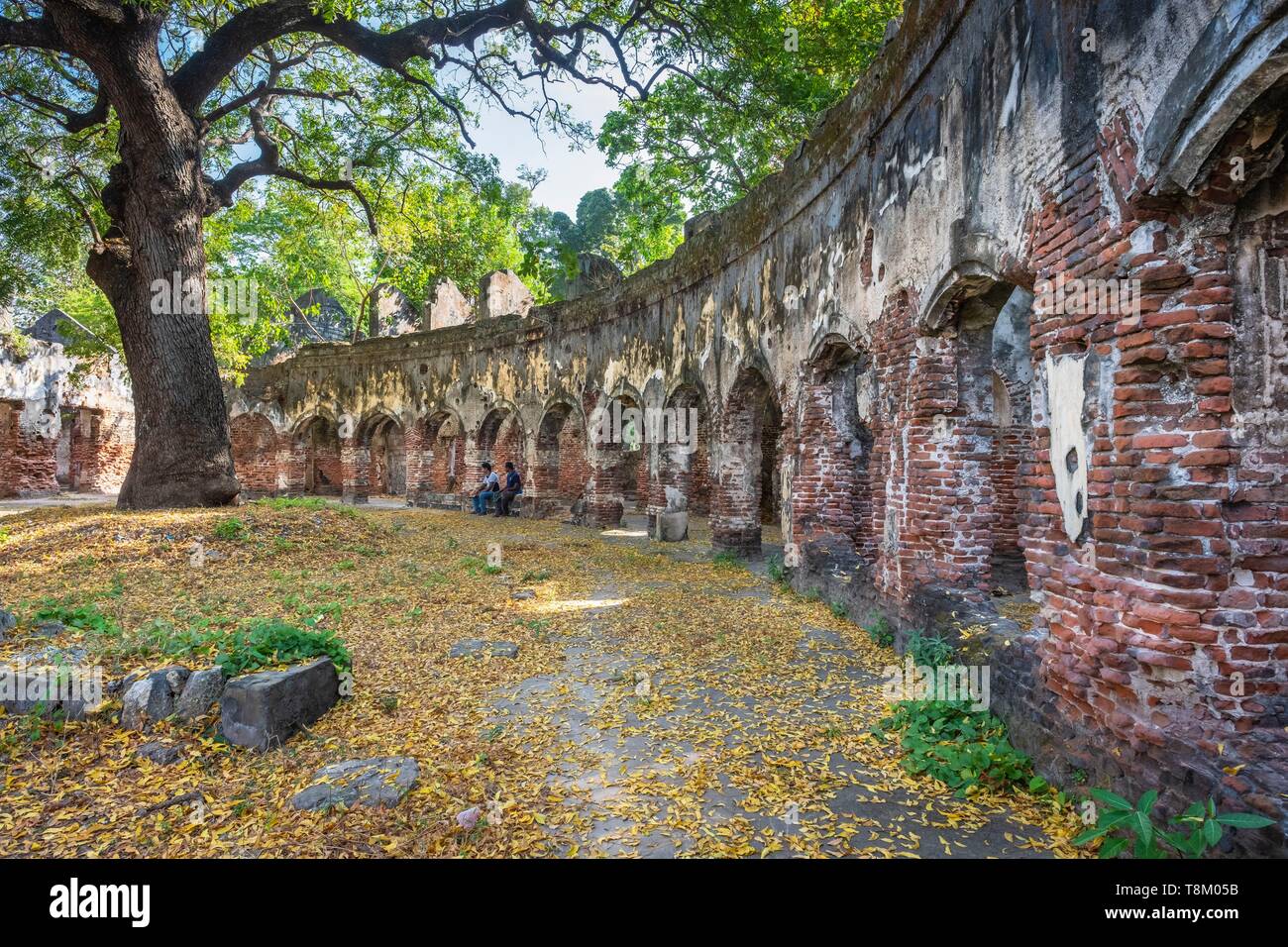Sri Lanka, Northern province, Jaffna, Old park, ruins of Old Kachchery ...