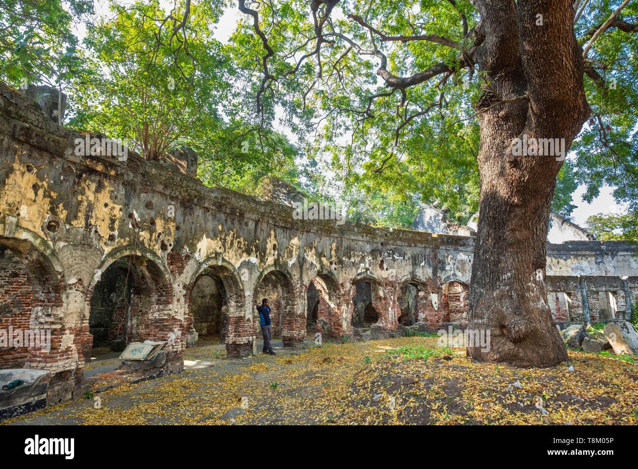 Sri Lanka, Northern province, Jaffna, Old park, ruins of Old Kachchery ...