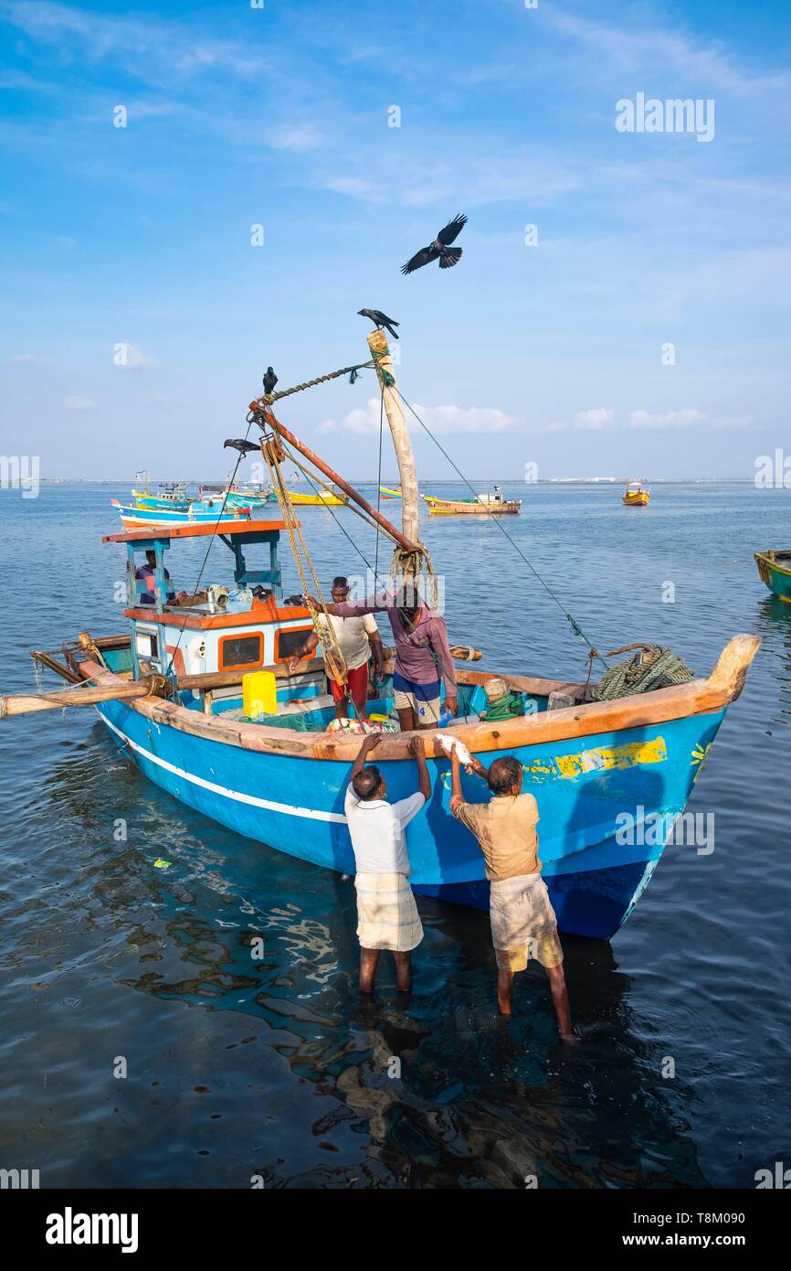 Sri Lanka, Northern province, Jaffna, fishing harbour Stock Photo - Alamy
