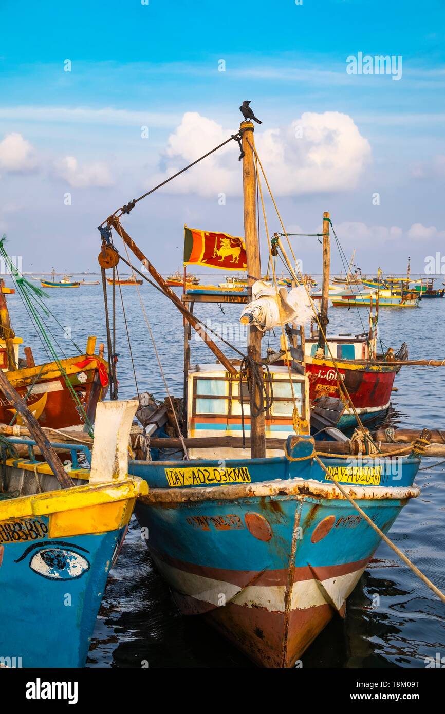 Sri Lanka, Northern province, Jaffna, fishing harbour Stock Photo - Alamy