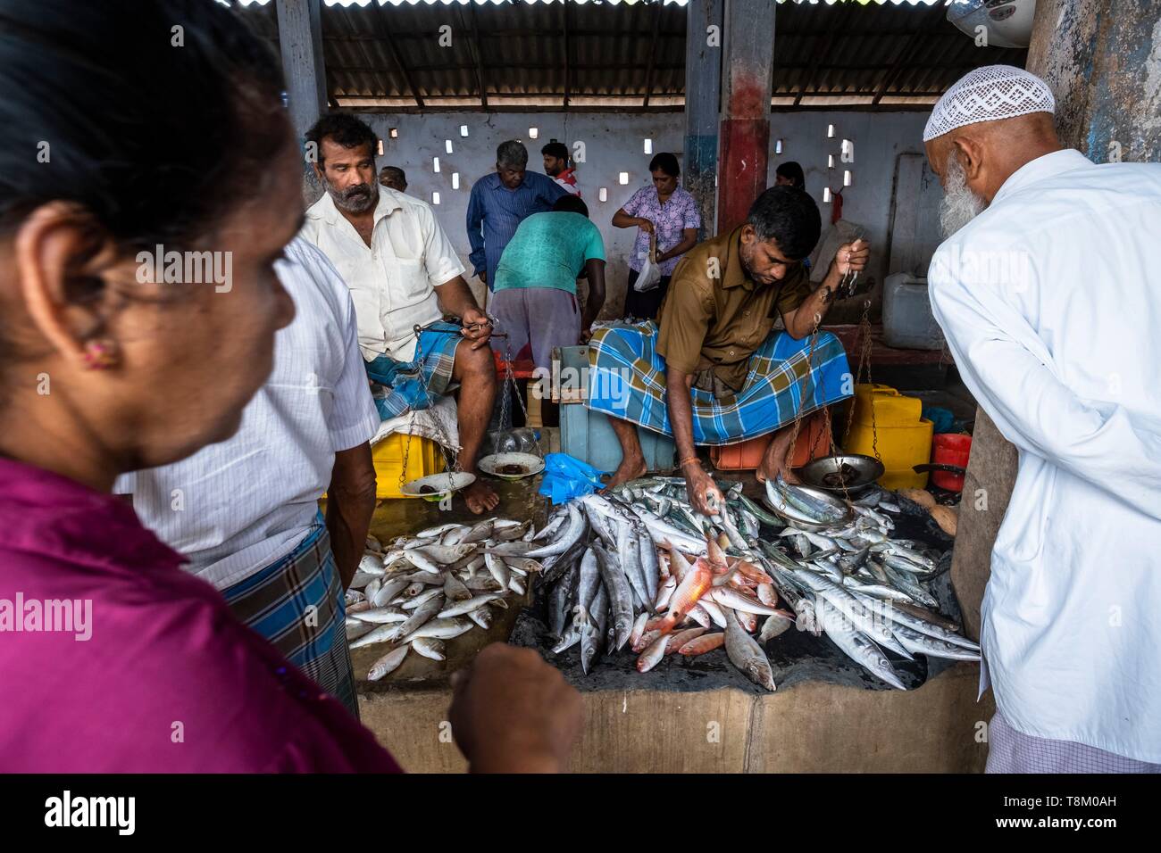 Sri Lanka, Northern province, Jaffna peninsula, Point Pedro is a town ...